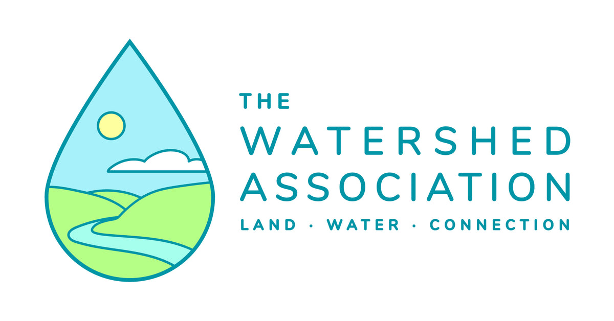 watershed pictures logo